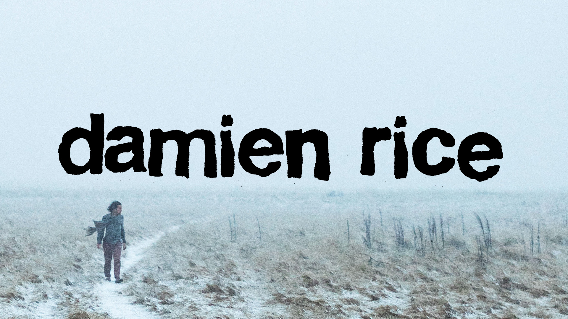 Damien Rice | Concert Dates & Tickets | Frontier Touring
